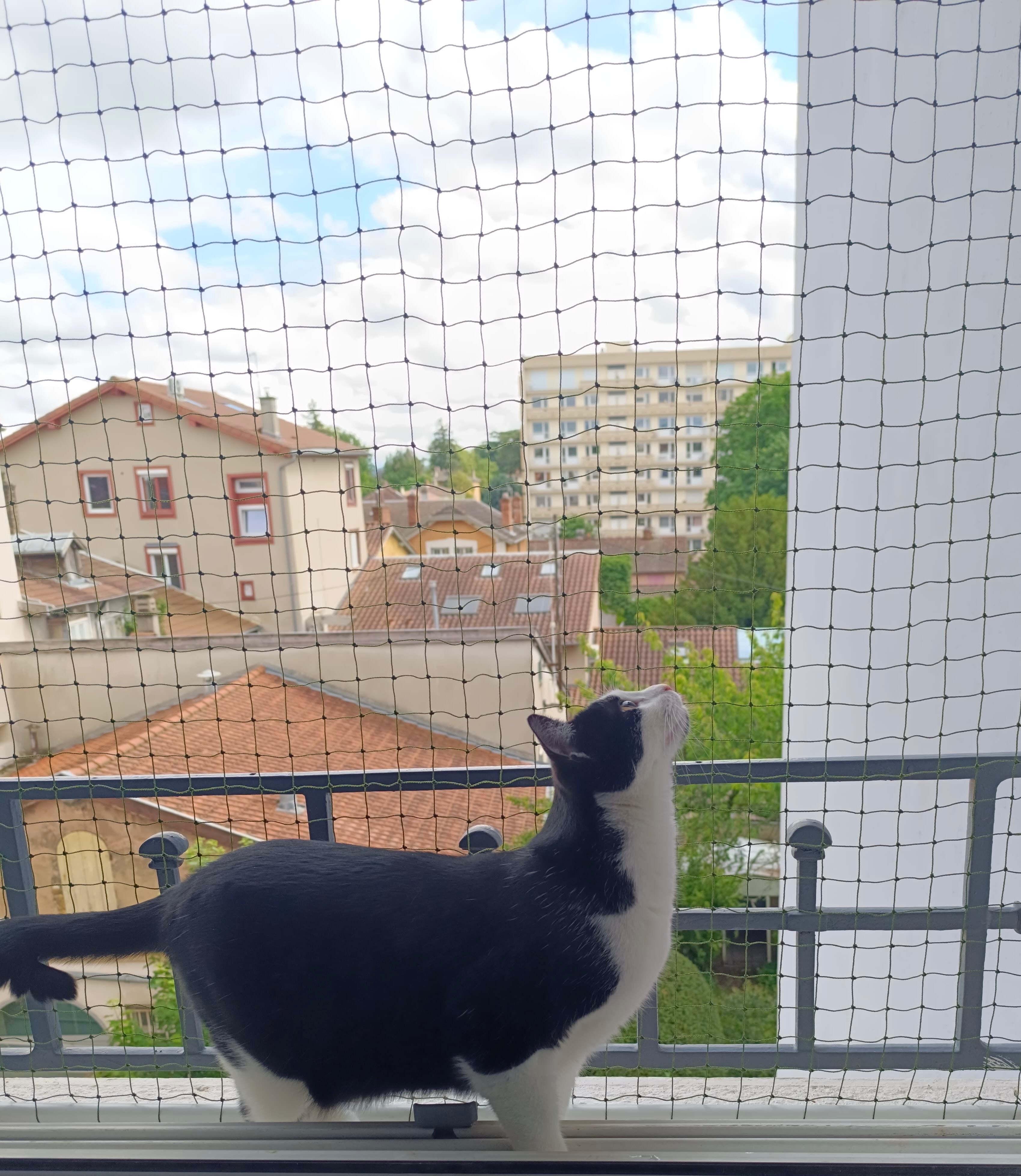 Installer des protections pour chats : Guide complet et conseils – Felikit